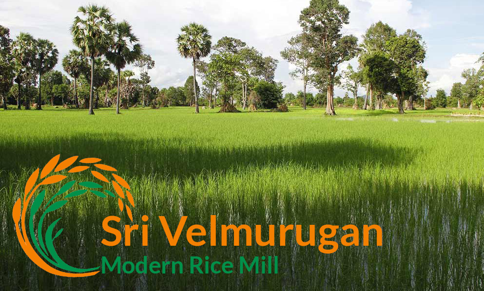Kalambur Rice Mills - Polur Online